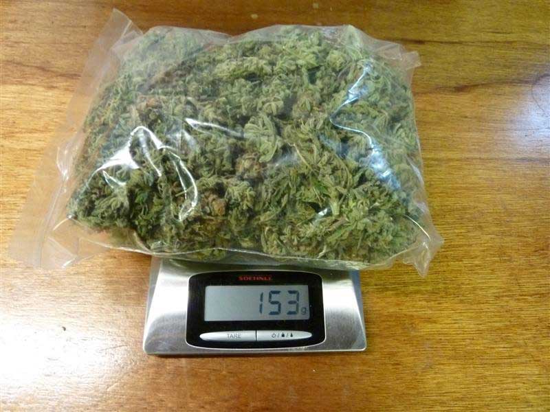 Growing Marijuana With LED Growshow